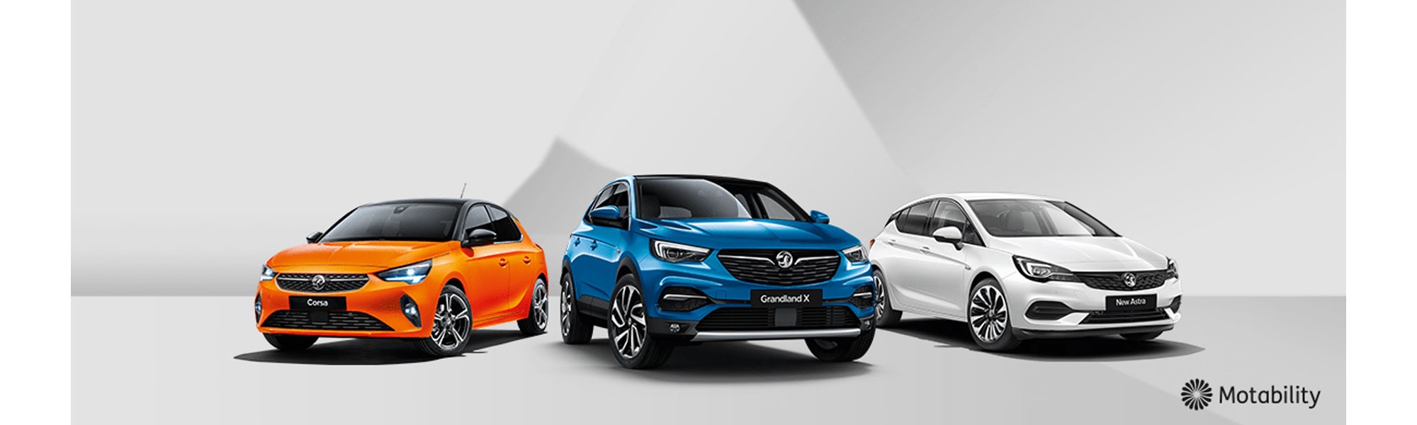 Vauxhall Motability Offers At W P Lewis & Son